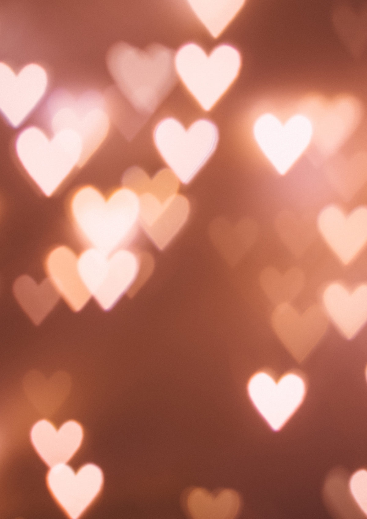 A Complete Guide to Nature's Willow Ingredients